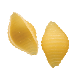 Pasta Regina USA